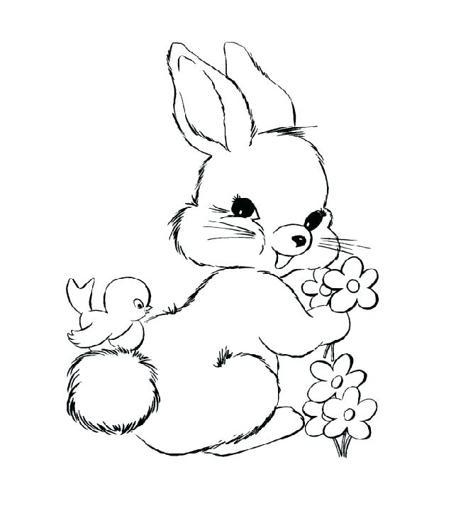 Cartoon Rabbit Coloring Pages at GetColorings.com | Free printable ... Cartoon Rabbit Coloring Pages at GetColorings.com | Free printable ...