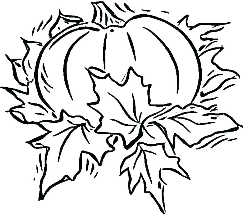 Large Print Coloring Pages For Adults At GetColorings Free 