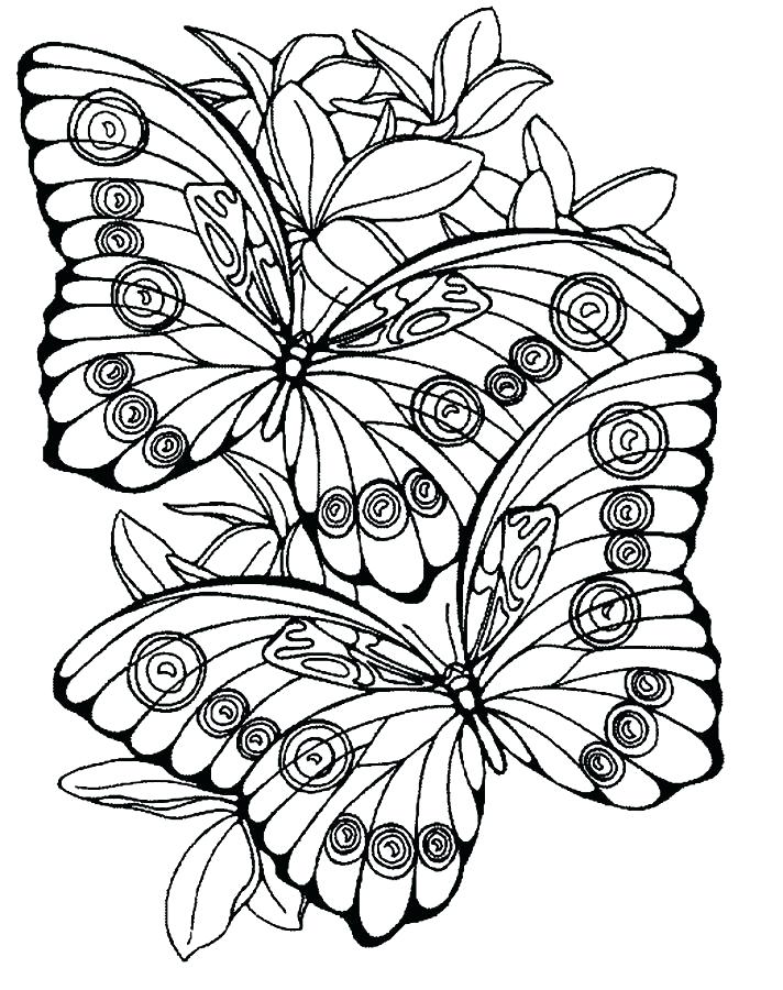 Large Print Coloring Pages For Adults At GetColorings Free 