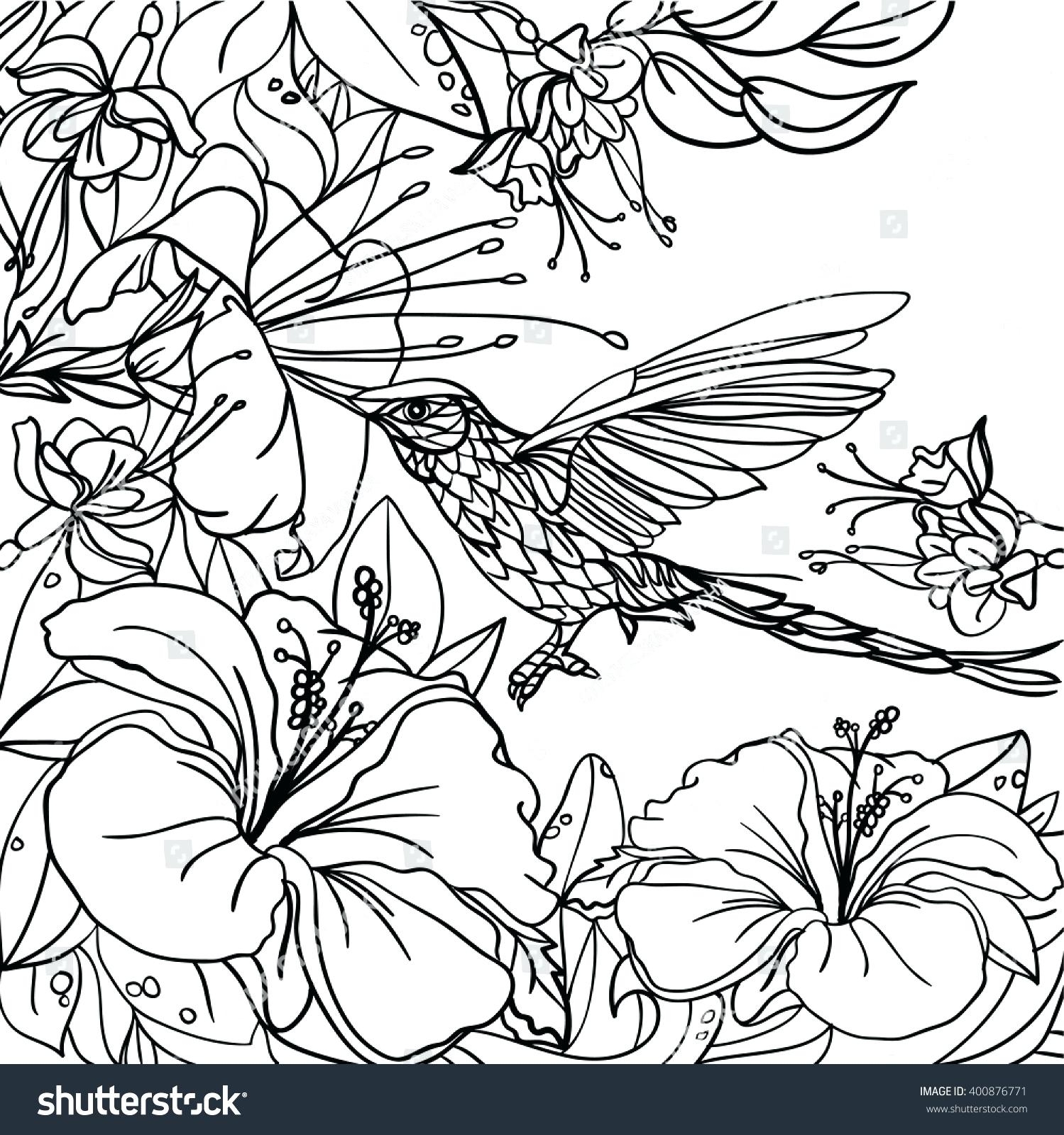 Rainforest Leaves Coloring Page