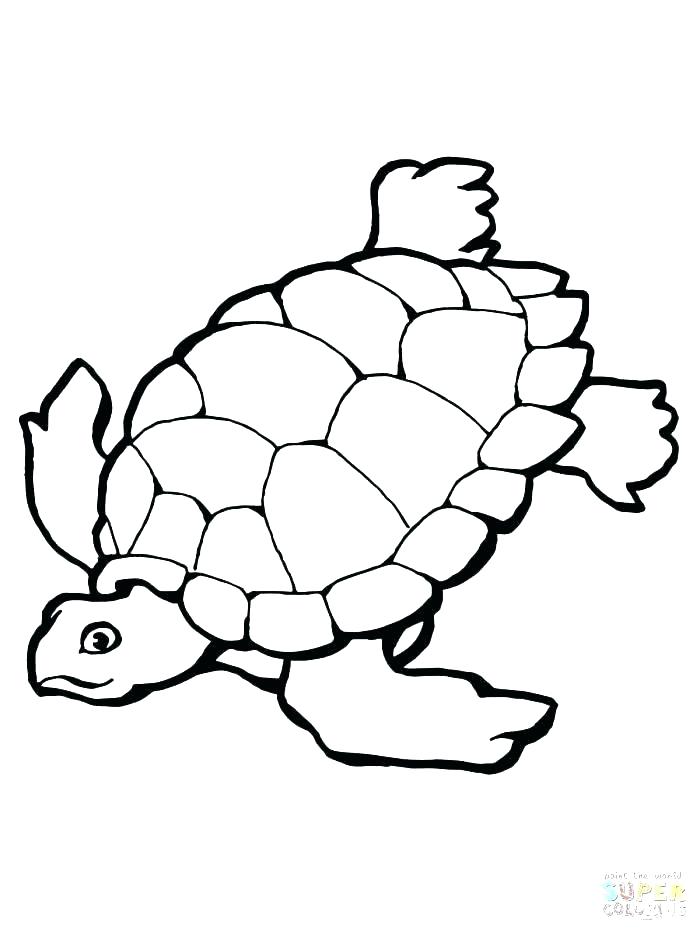 Snapping Turtle Coloring Pages At GetColorings Free Printable
