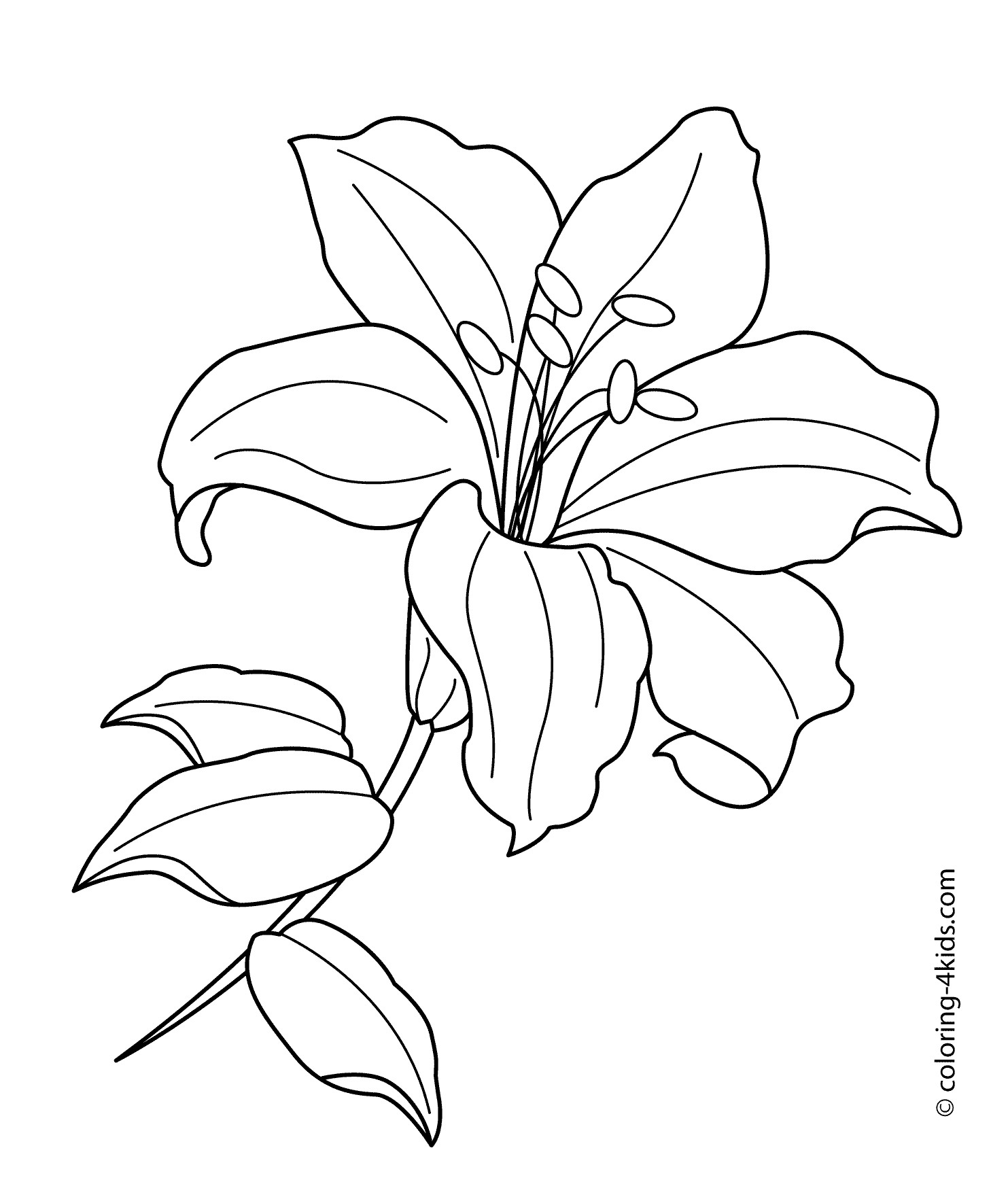 Wedding Flowers Coloring Pages At GetColorings Free Printable 